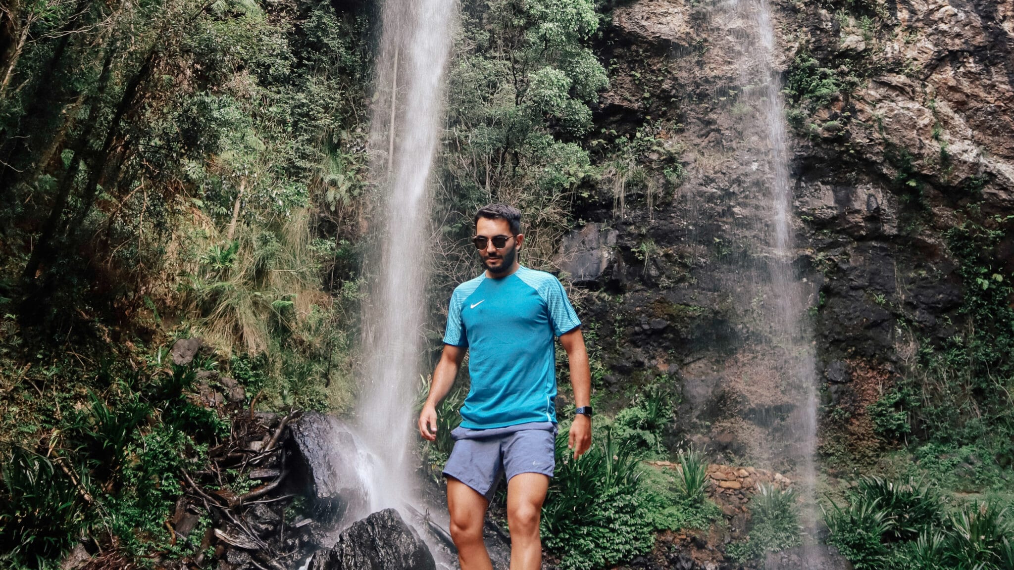 Springbrook National Park Ultimate Guide | Paradise Tours